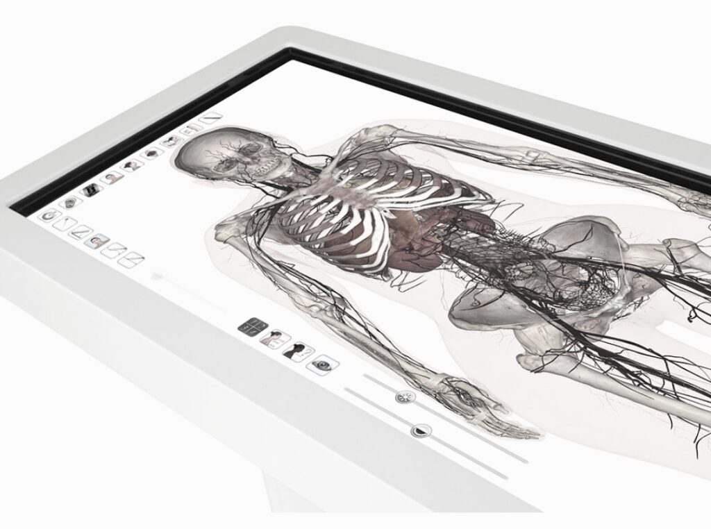 Are We Moving Towards a Hybrid Model of Cadaveric-Virtual Anatomical ...