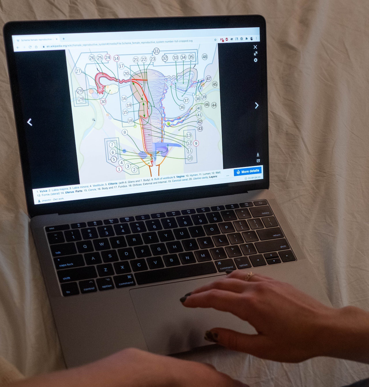 Transformation of Medical Education; What to Expect in the Near Future ...